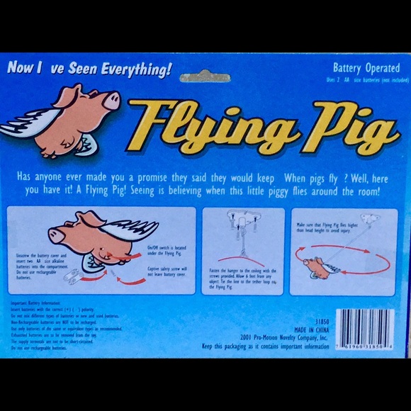 Pro-Motion Novelty | Other | When Pigs Fly Flying Pig | Poshmark